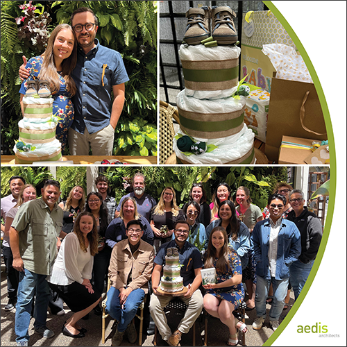 Home - Aedis Architects